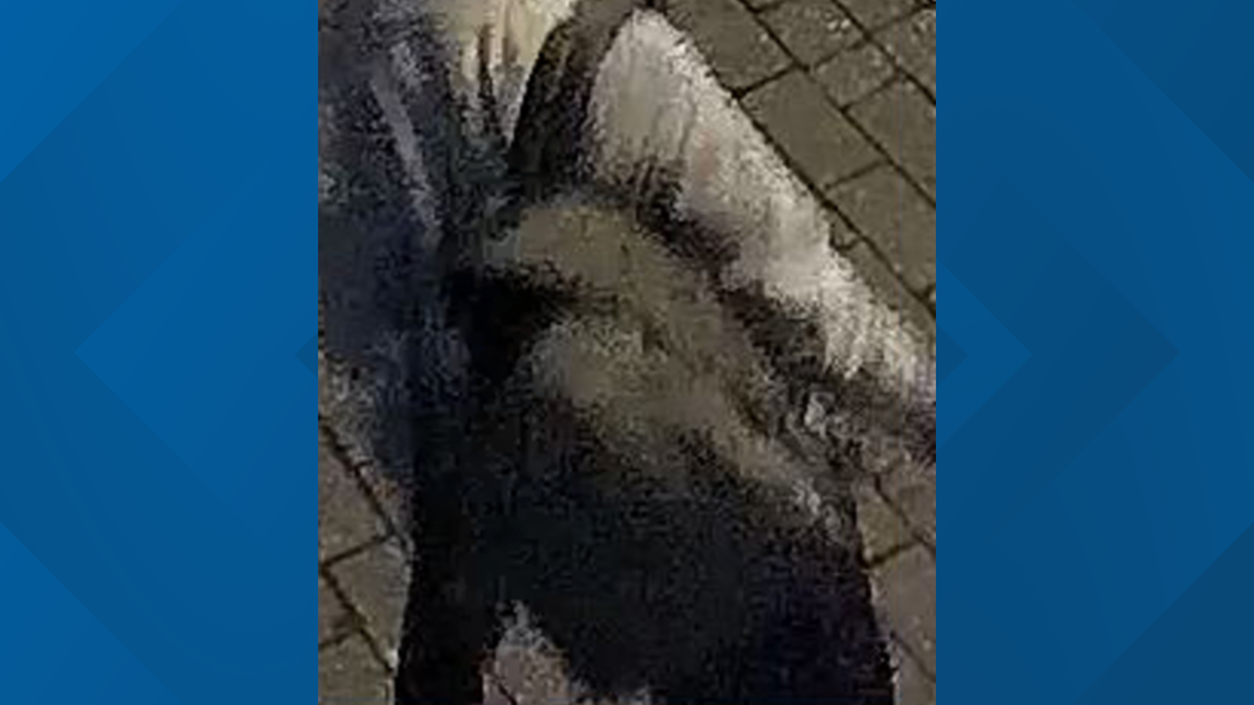 Award for 2021 Capitol Hill pipe bomb suspect raised to $500,000 ...
