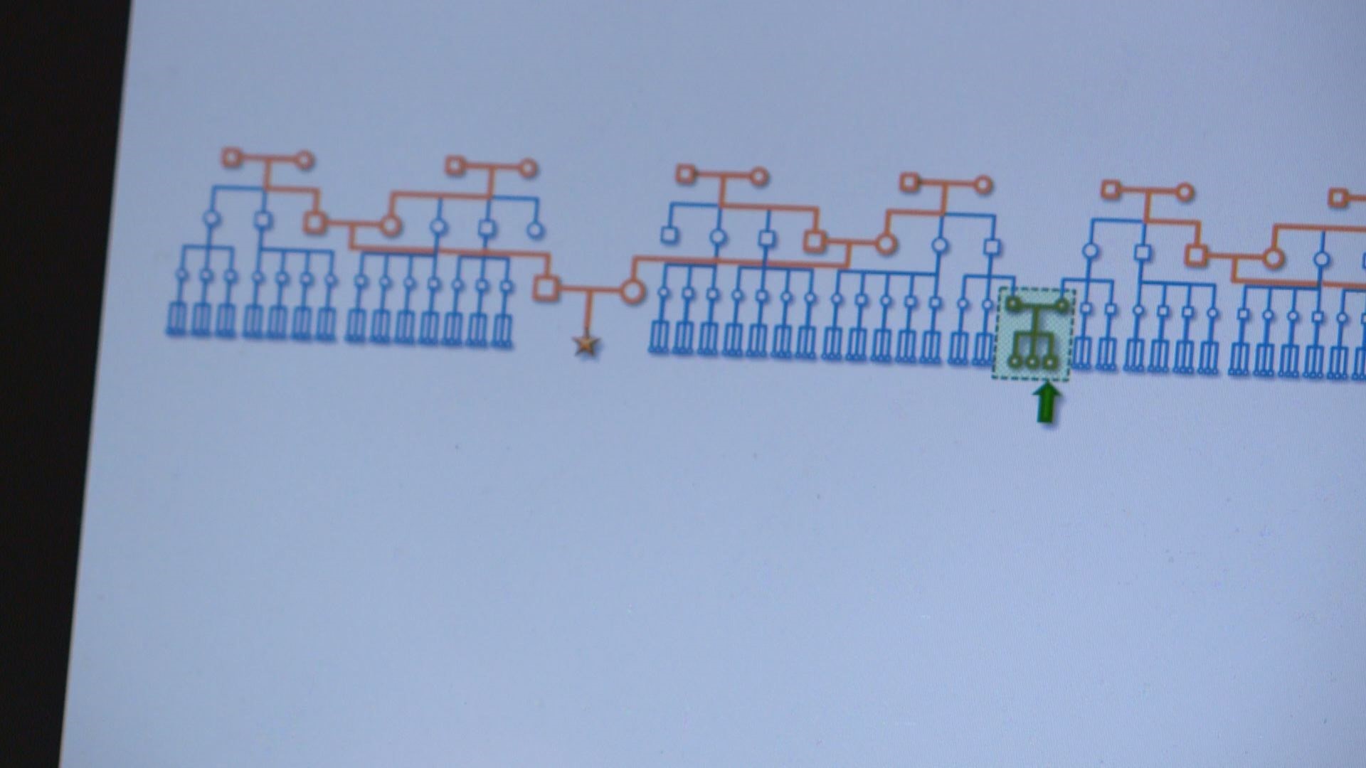 Reston company's new DNA tech keeps cracking cold cases | wusa9.com