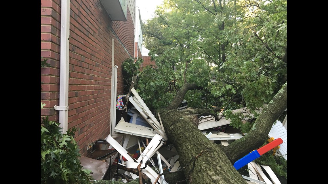 PHOTOS: Damage in College Park after severe storms | wusa9.com