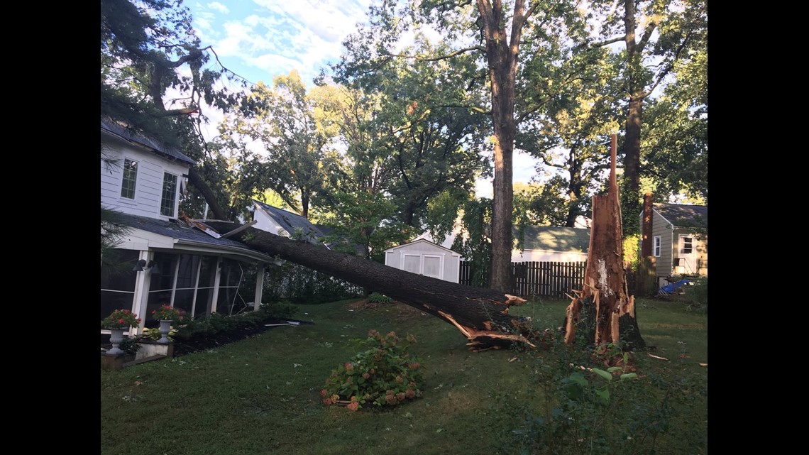 PHOTOS: Damage in College Park after severe storms | wusa9.com