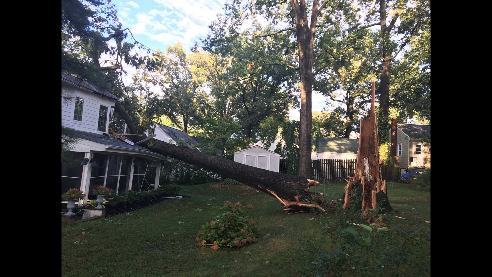 PHOTOS: Damage in College Park after severe storms | wusa9.com