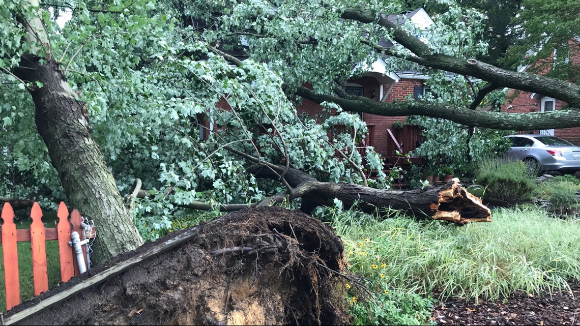 Trees smash into homes in College Park during severe storms on Monday ...