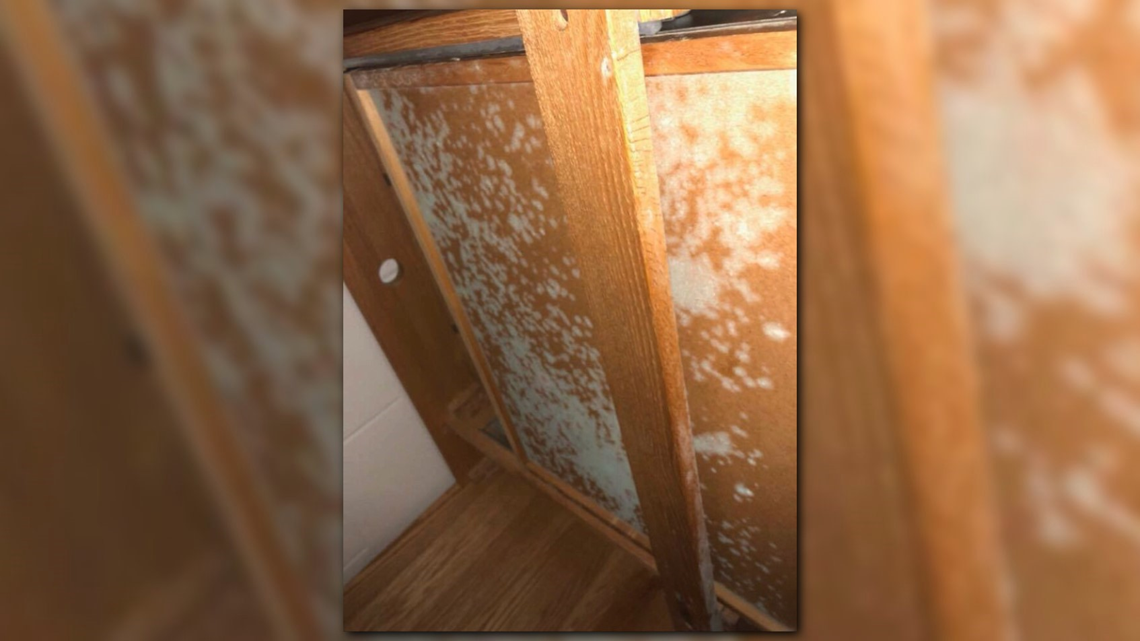 Students to move out of University of Maryland dorm due to mold | wusa9.com