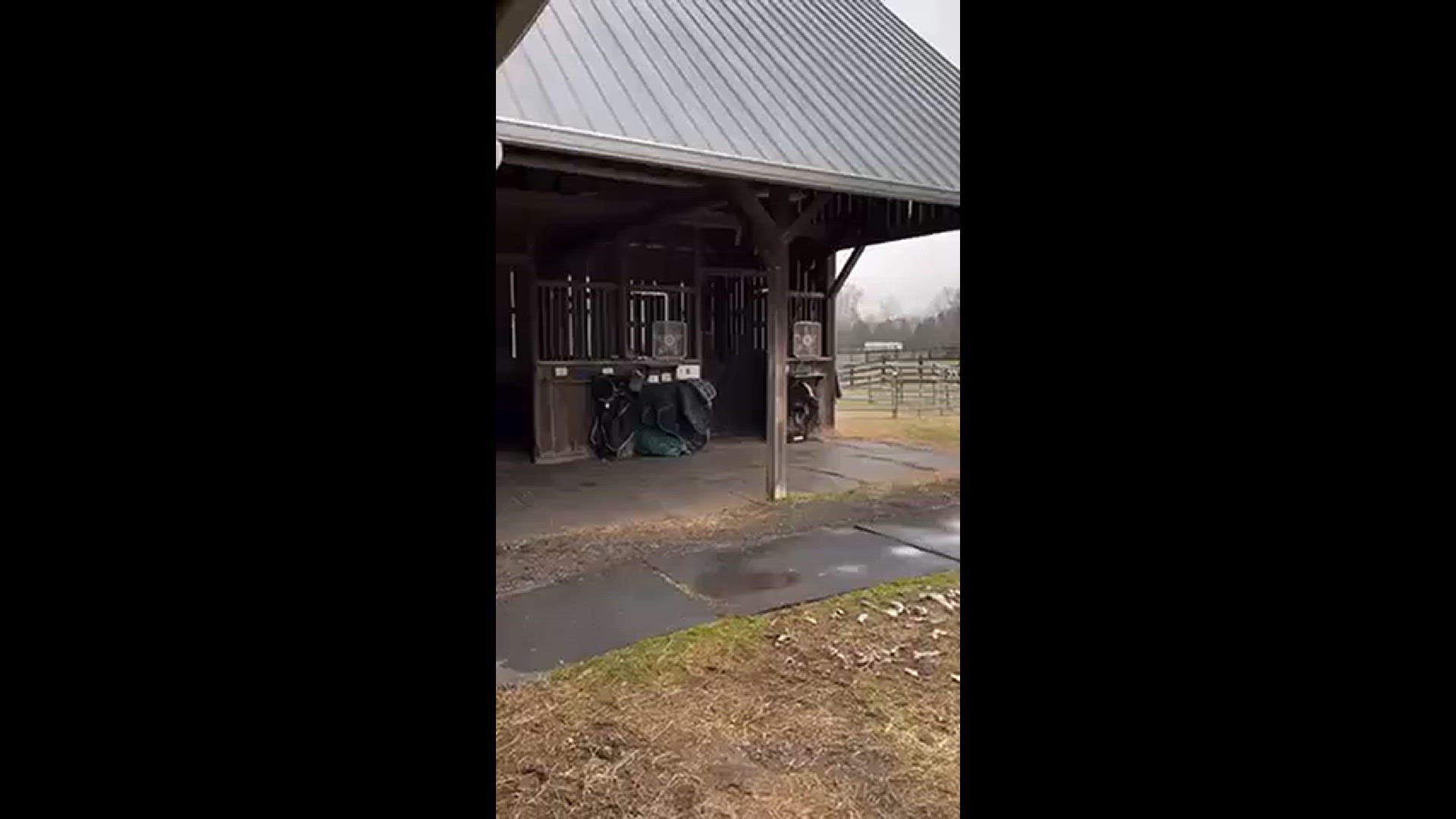 FHHR Horses’ Snow Day | wusa9.com