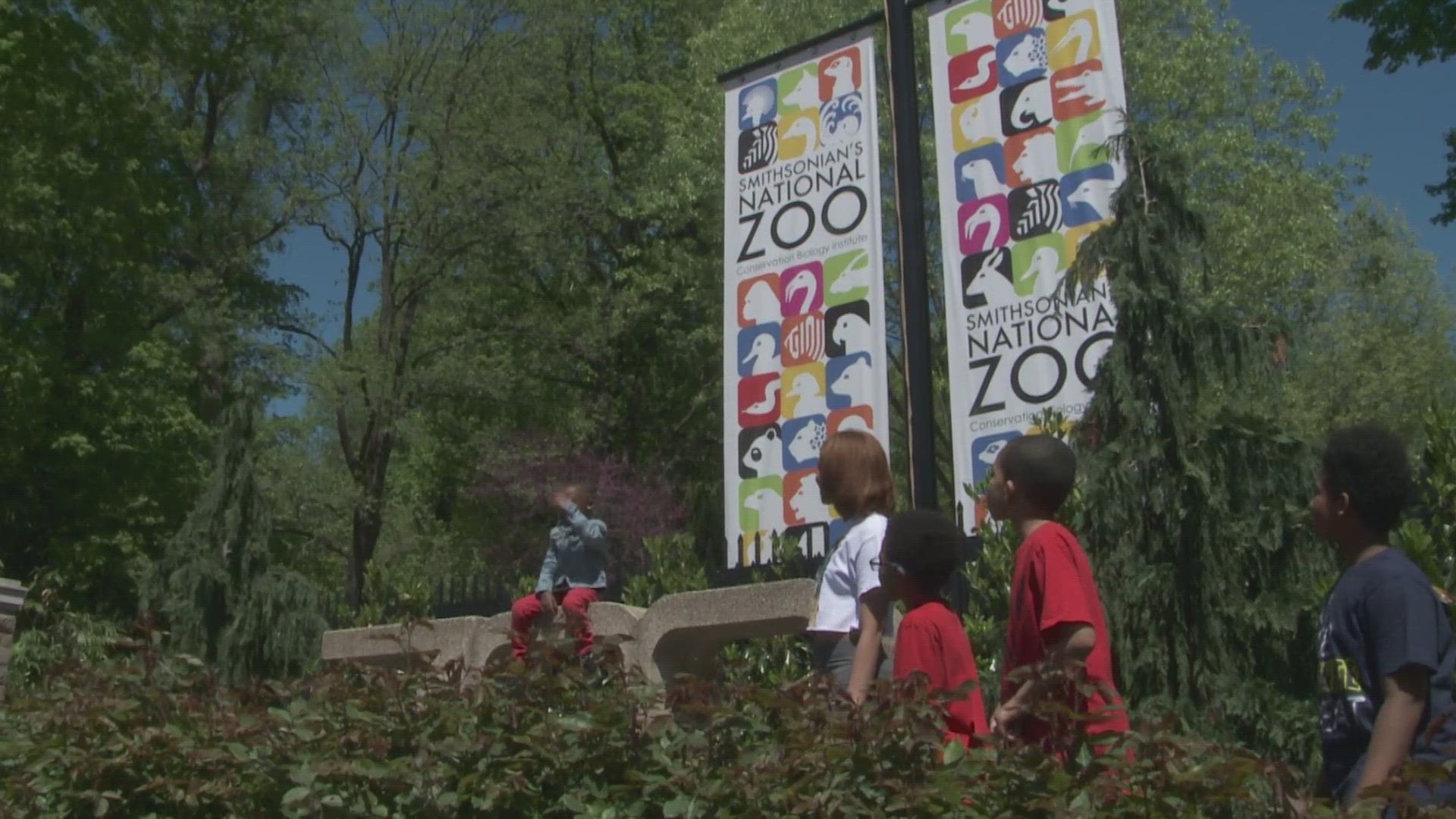 Smithsonian National Zoo hosts annual Easter Monday egg hunt | The ...