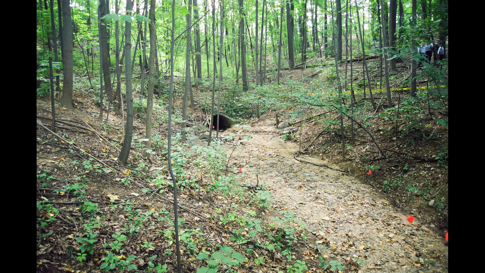 Her bones were found in a Fairfax Co. culvert 17 years ago and no one ...