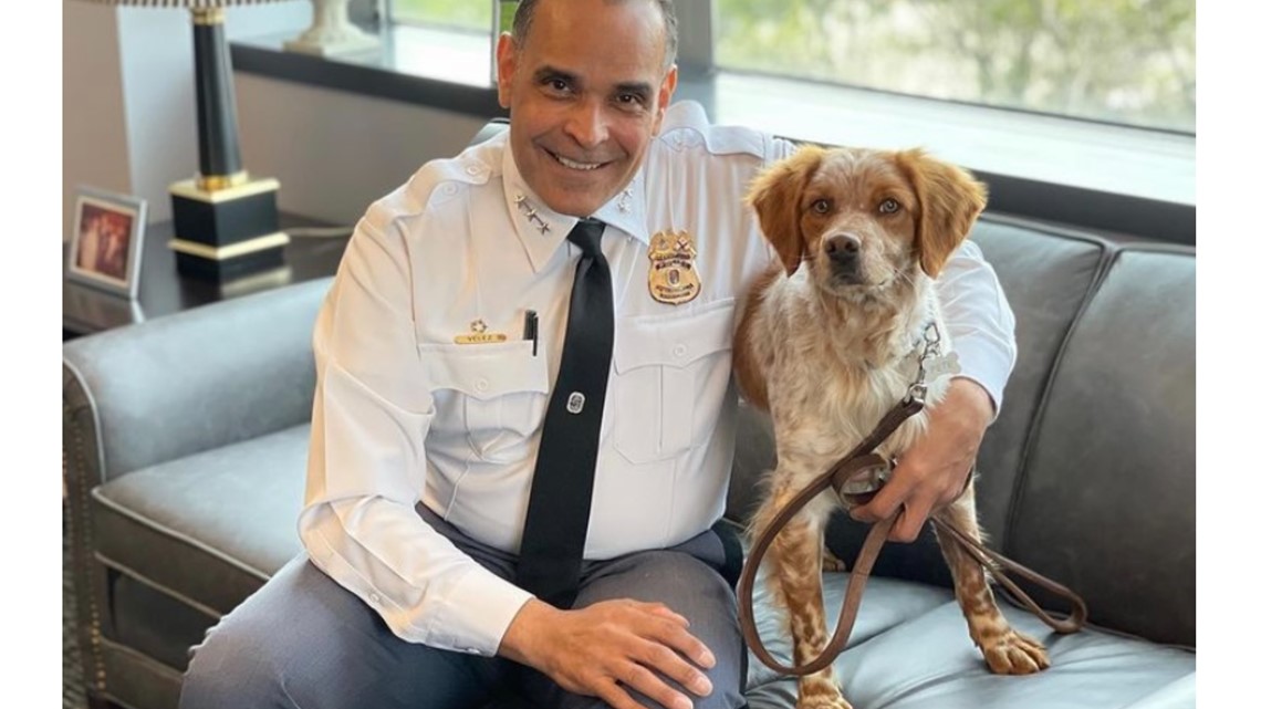 PGPD emotional support dog, Prince George's police dog Pete | wusa9.com