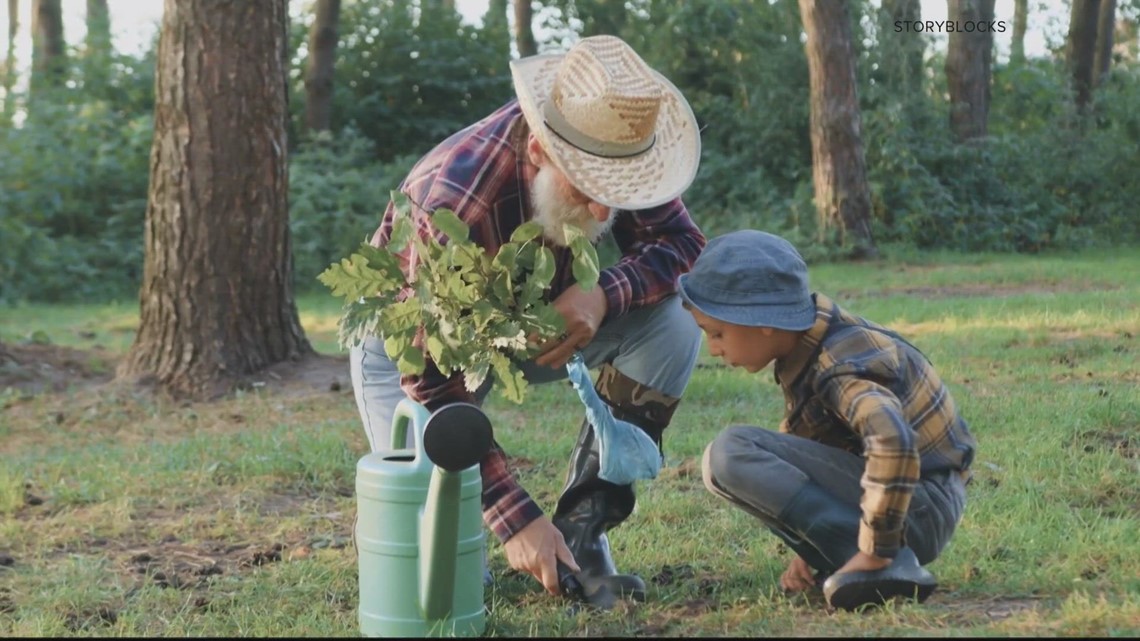 Why Arlington County is planting 100 trees at schools | wusa9.com