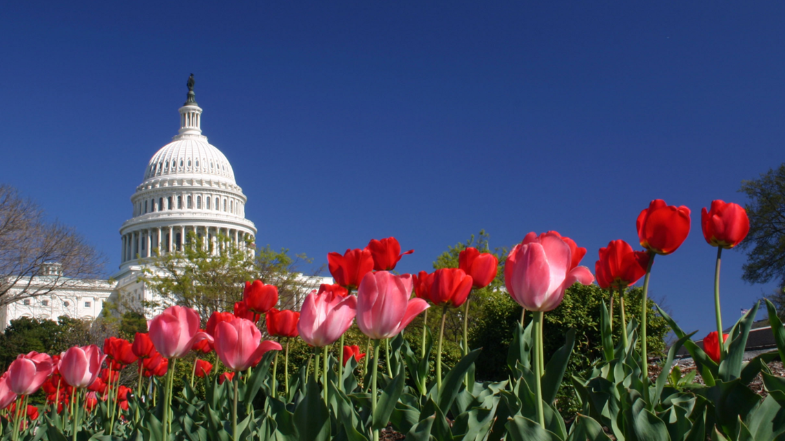 Washington DC meteorological spring starts Monday | wusa9.com