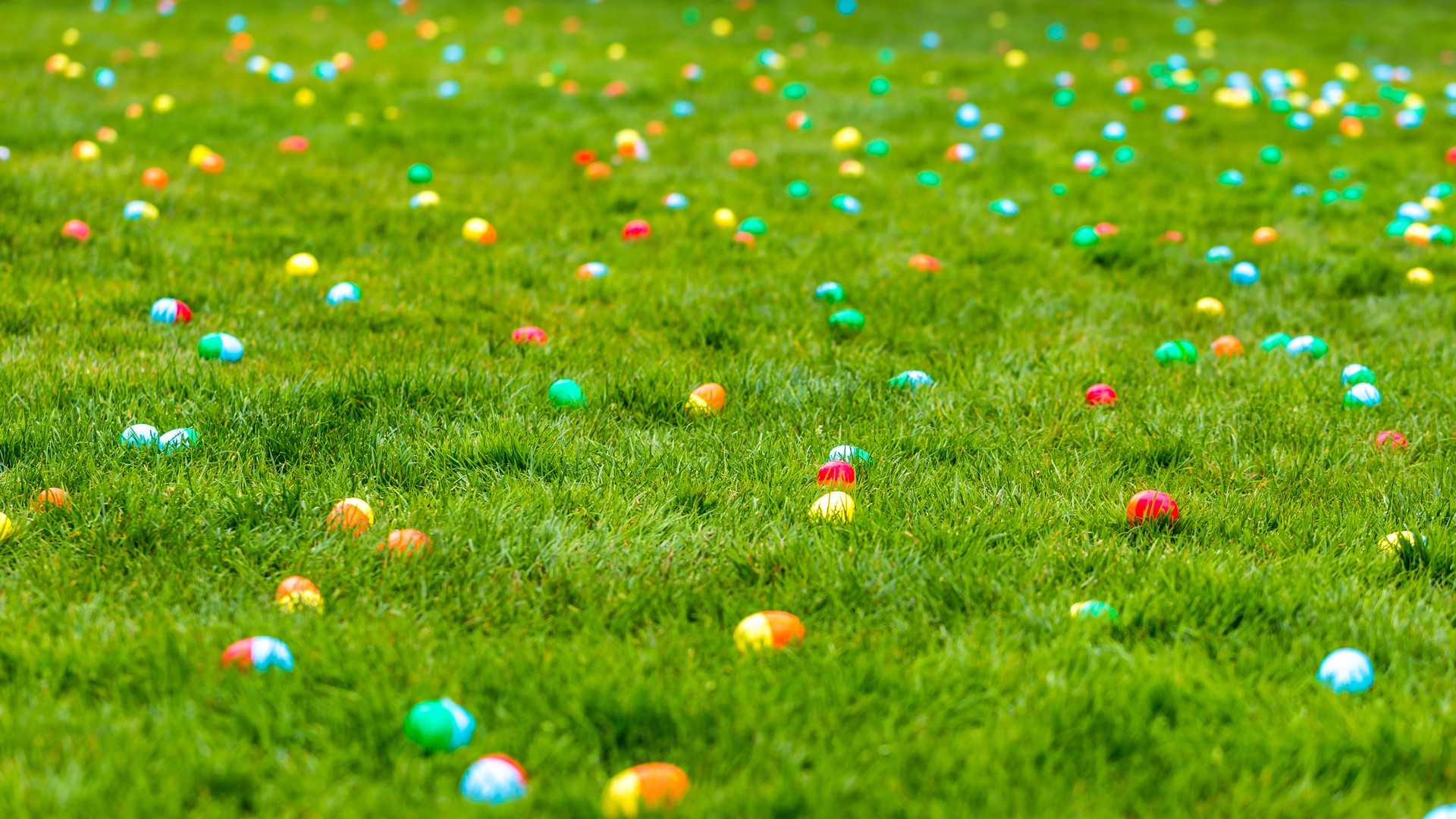 August Easter egg hunts coronavirus COVID-19 pandemic | wusa9.com