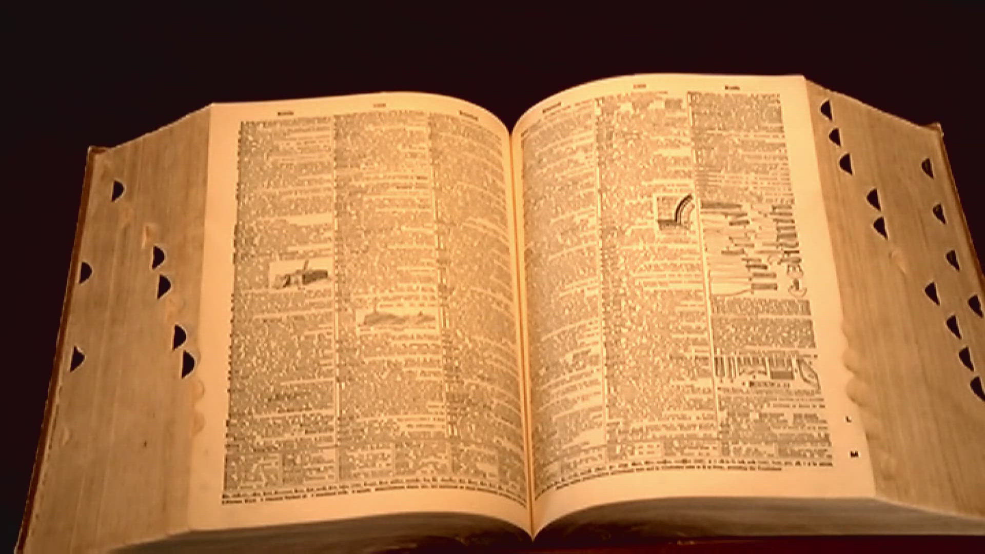 Merriam-Webster adds 5,000 words in new dictionary edition | wusa9.com