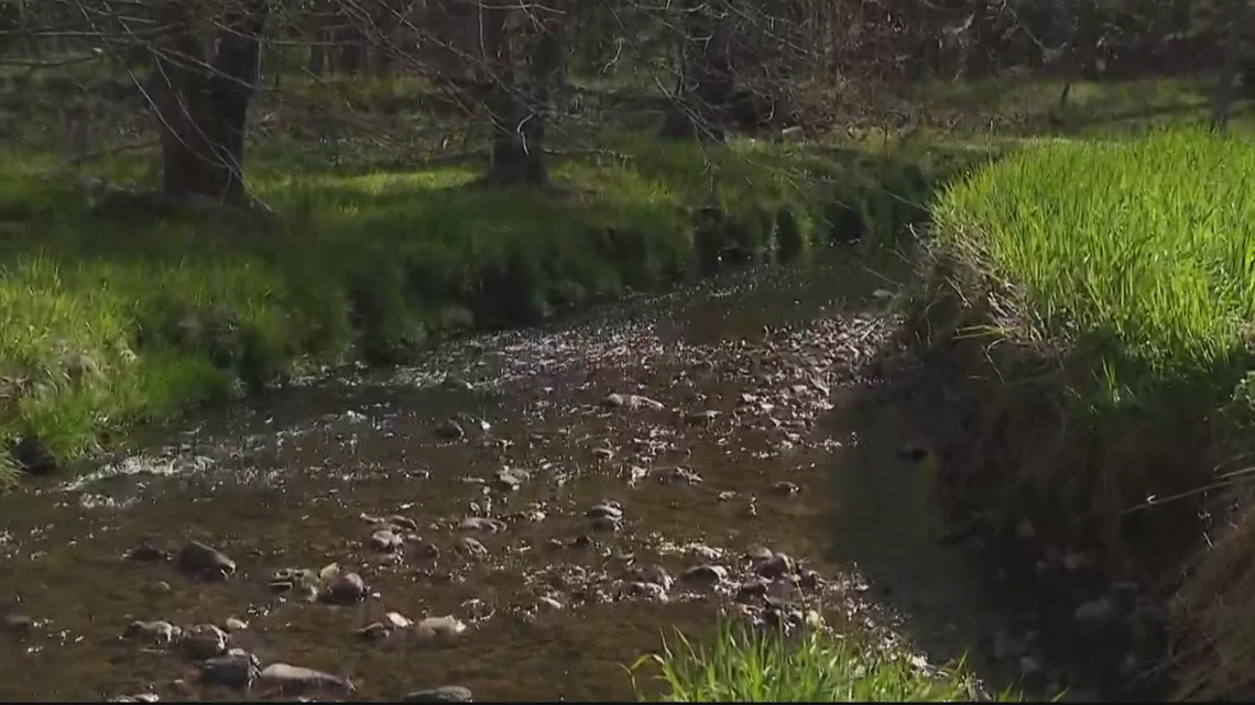 VERIFY | Yes, particles from wildfire smoke could show up in DC water ...