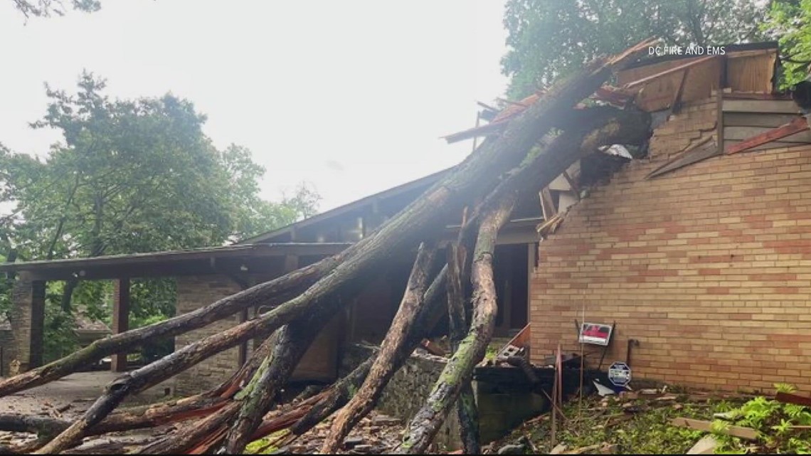 Tree falls onto house in Northwest DC | wusa9.com