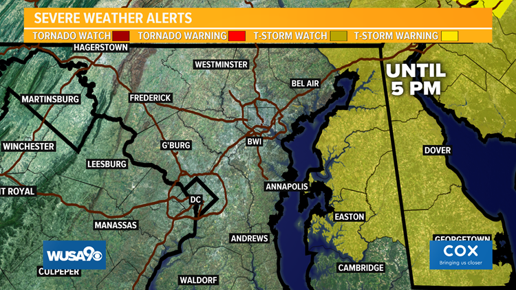 Washington, DC's Leading Local News: Weather, Traffic, Sports and more ...