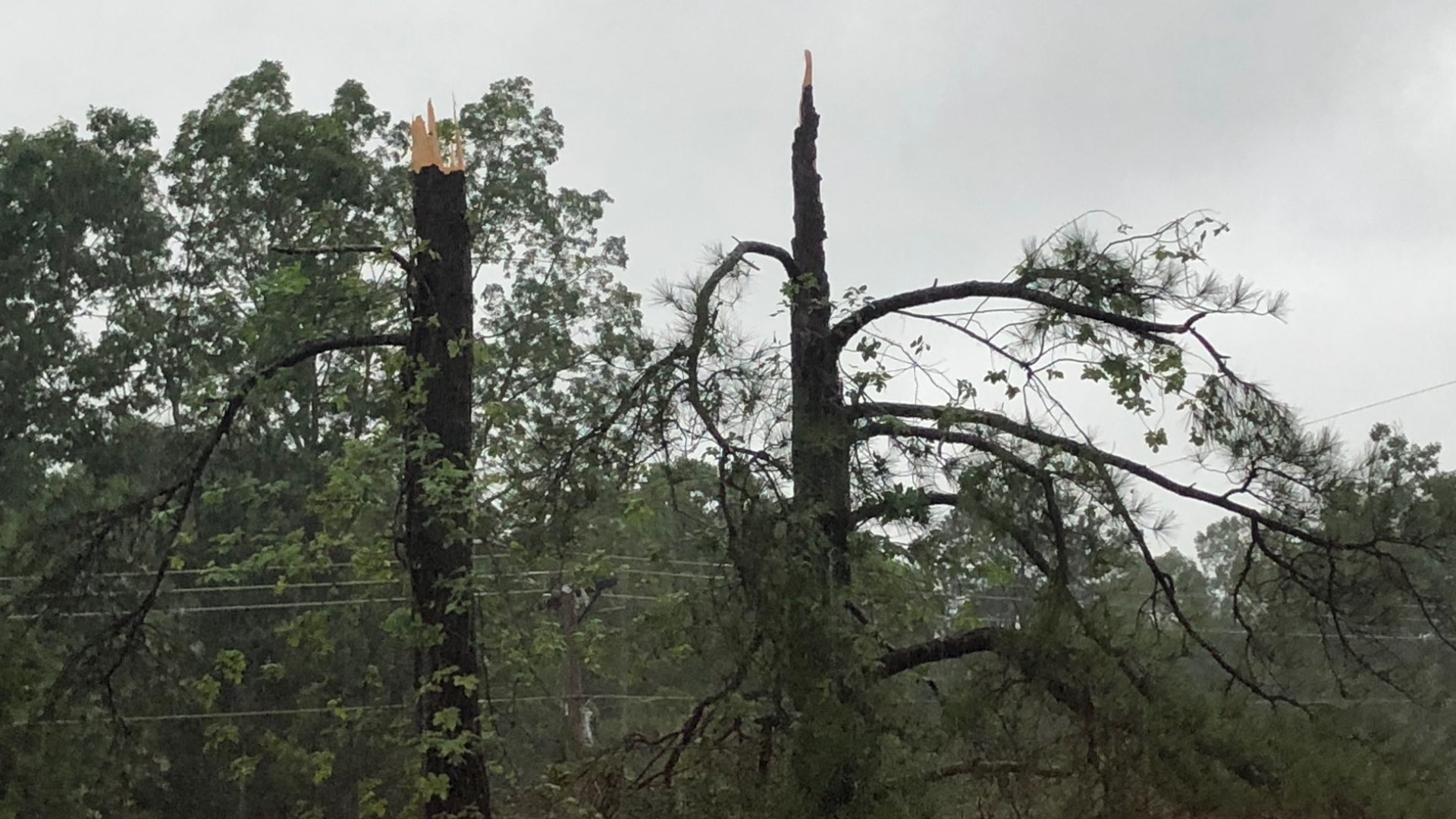 National Weather Service confirms 3 tornadoes in southern MD | wusa9.com