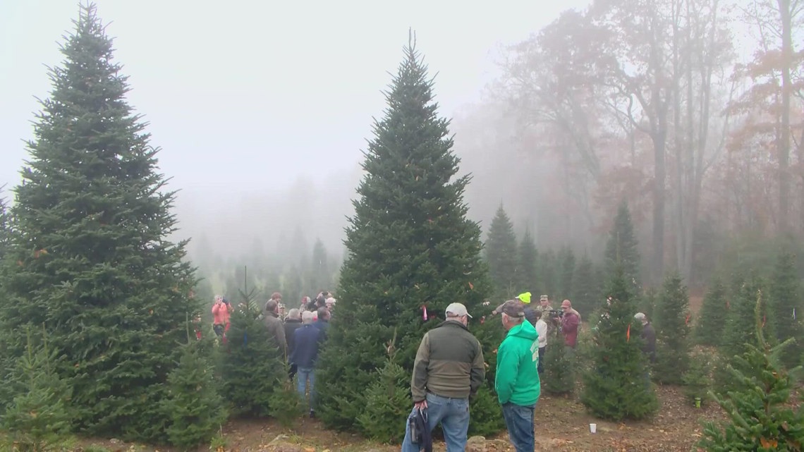 White House chooses tree from North Carolina Christmas tree farm ...