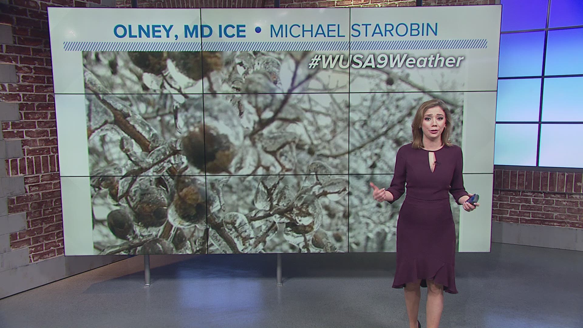 WEATHER ALERT: Ice storm power outages and tree damage will worsen as ...
