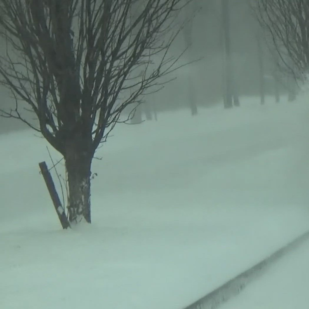 Wala Blegay named Prince George's County at-large councilmember | wusa9.com