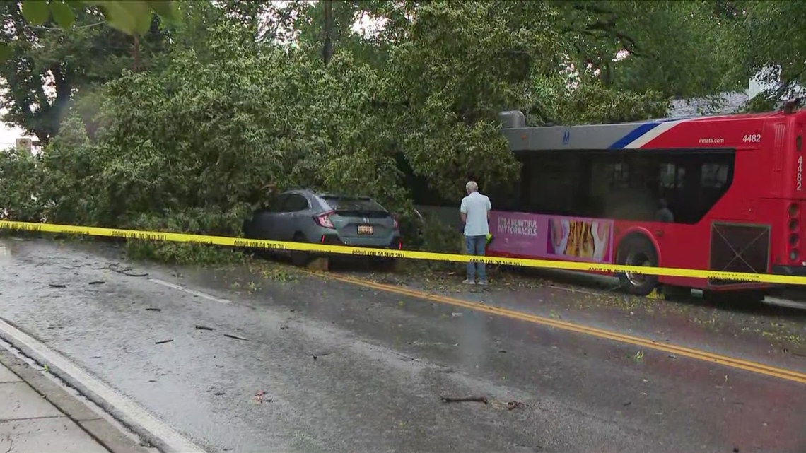 Tree falls onto Metrobus, car in Bethesda | wusa9.com