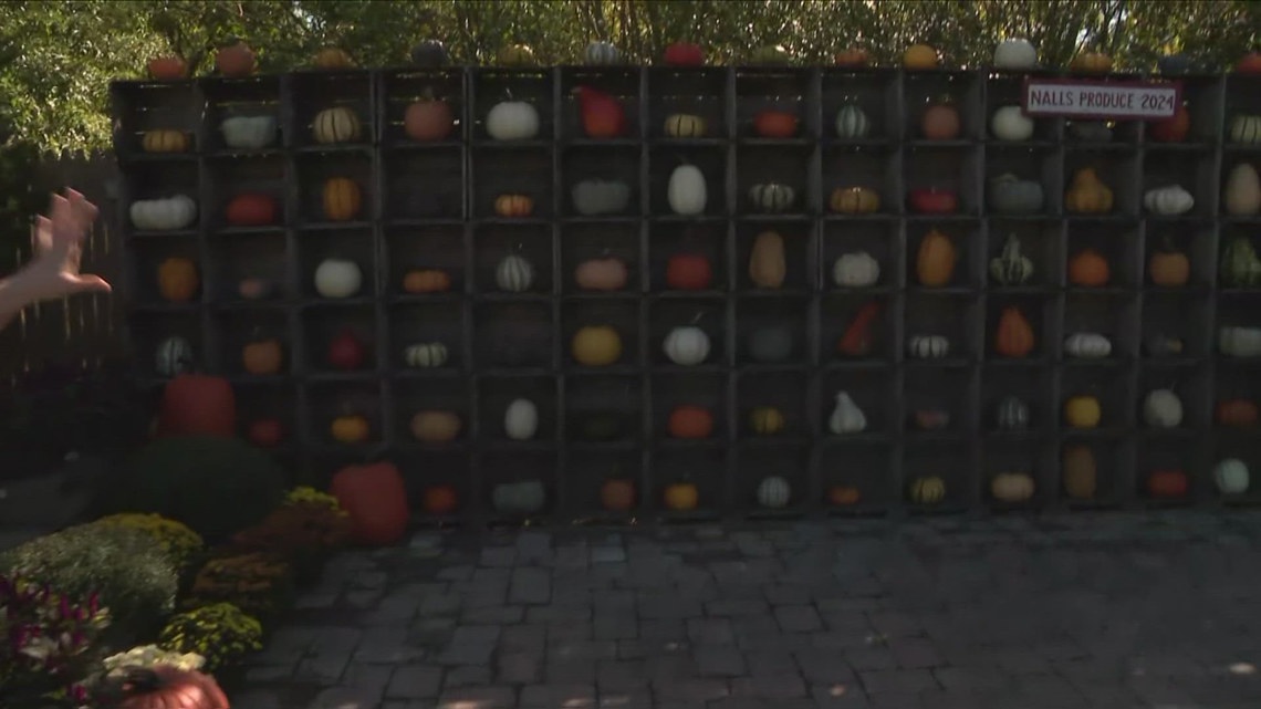 Bye-bye Summer, hello Fall! Visit Nalls Produce in Alexandria | wusa9.com