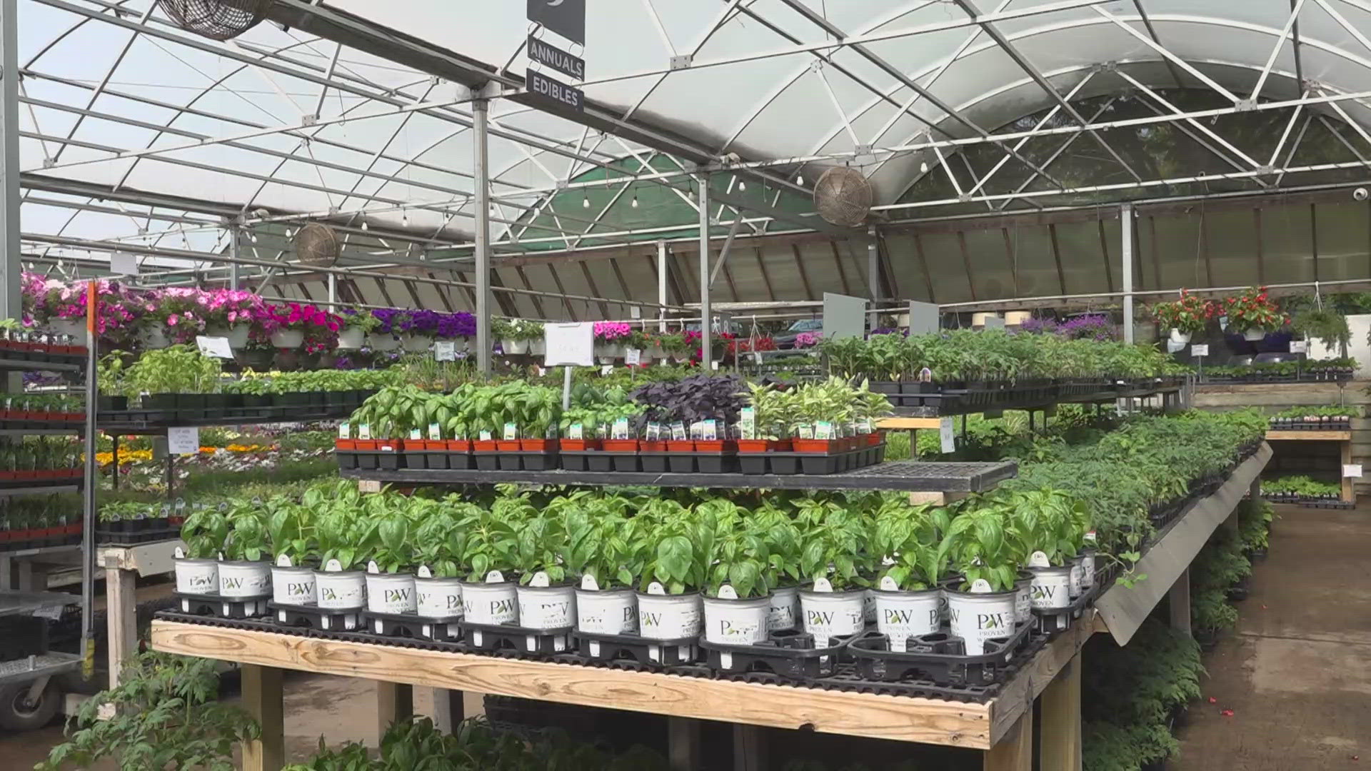 Start your vegetable garden now in the DMV area | wusa9.com