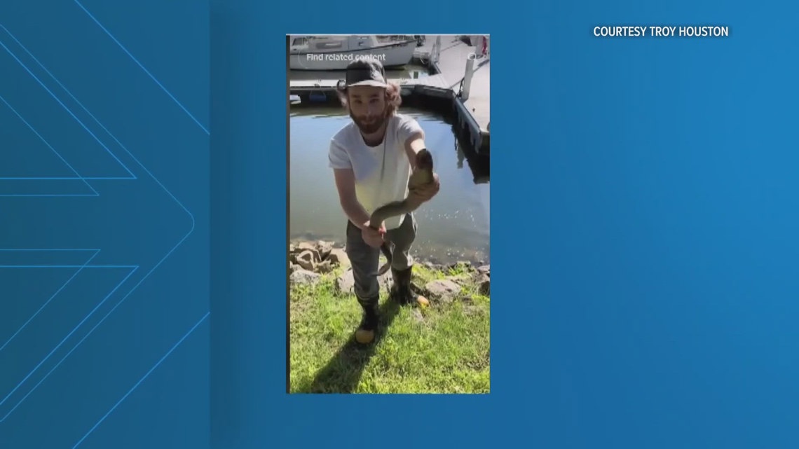 Man catches a Lamprey with his bare hands in the Potomac River | wusa9.com