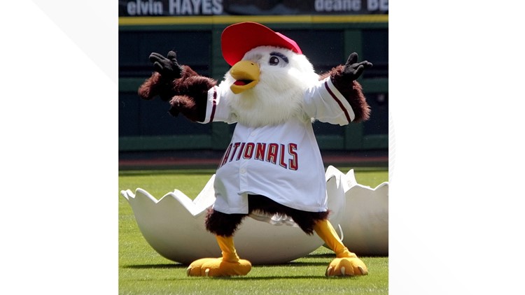 Mascot for Washington Nationals: What is it? | wusa9.com