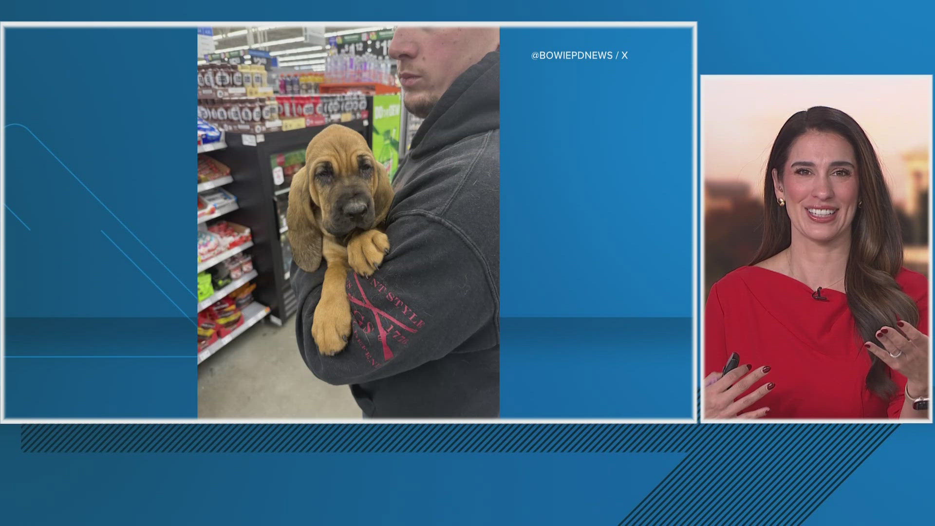 Police investigate murder/suicide outside Silver Spring apartment ...