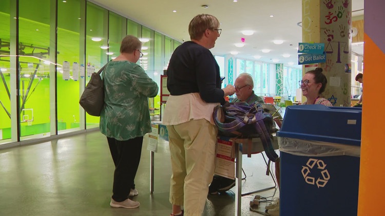 National Zoo panda cam Washington DC snow Giant Pandas enjoy snow ...