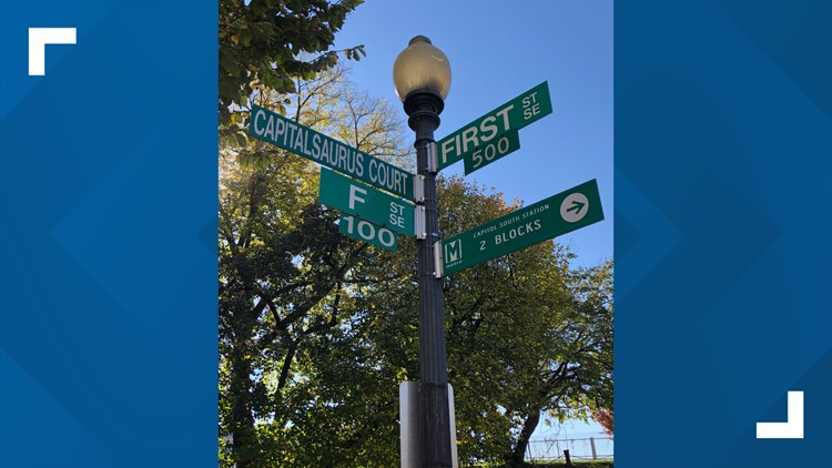 The history behind DC's official dino, the Capitalsaurus | wusa9.com