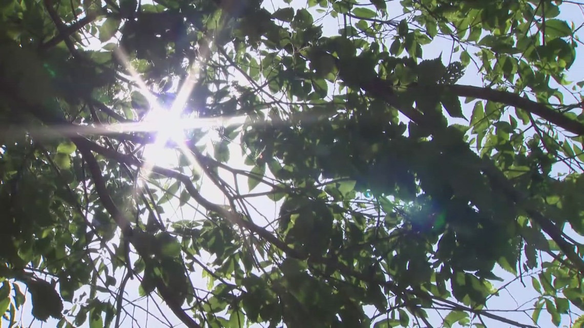 Heat watch or excessive heat warning: Here's the difference | wusa9.com
