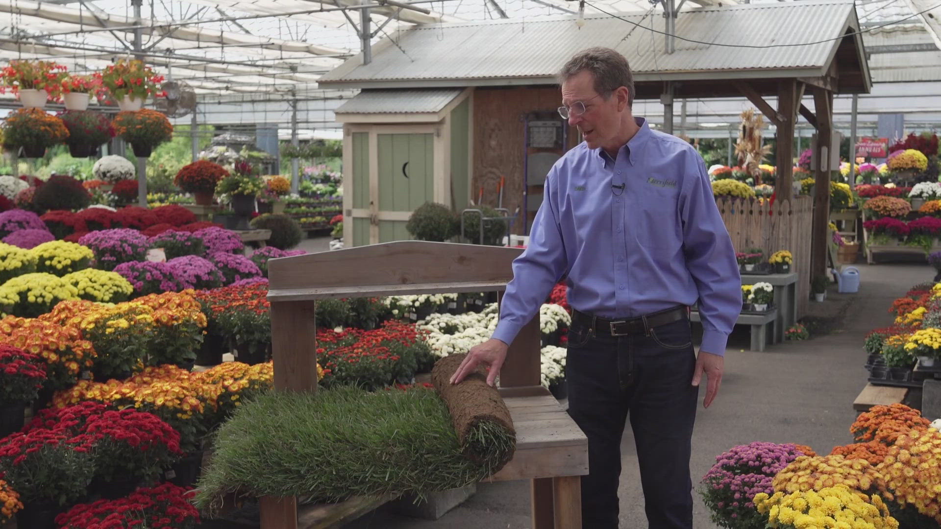 Revive your lawn this fall with expert tips | wusa9.com