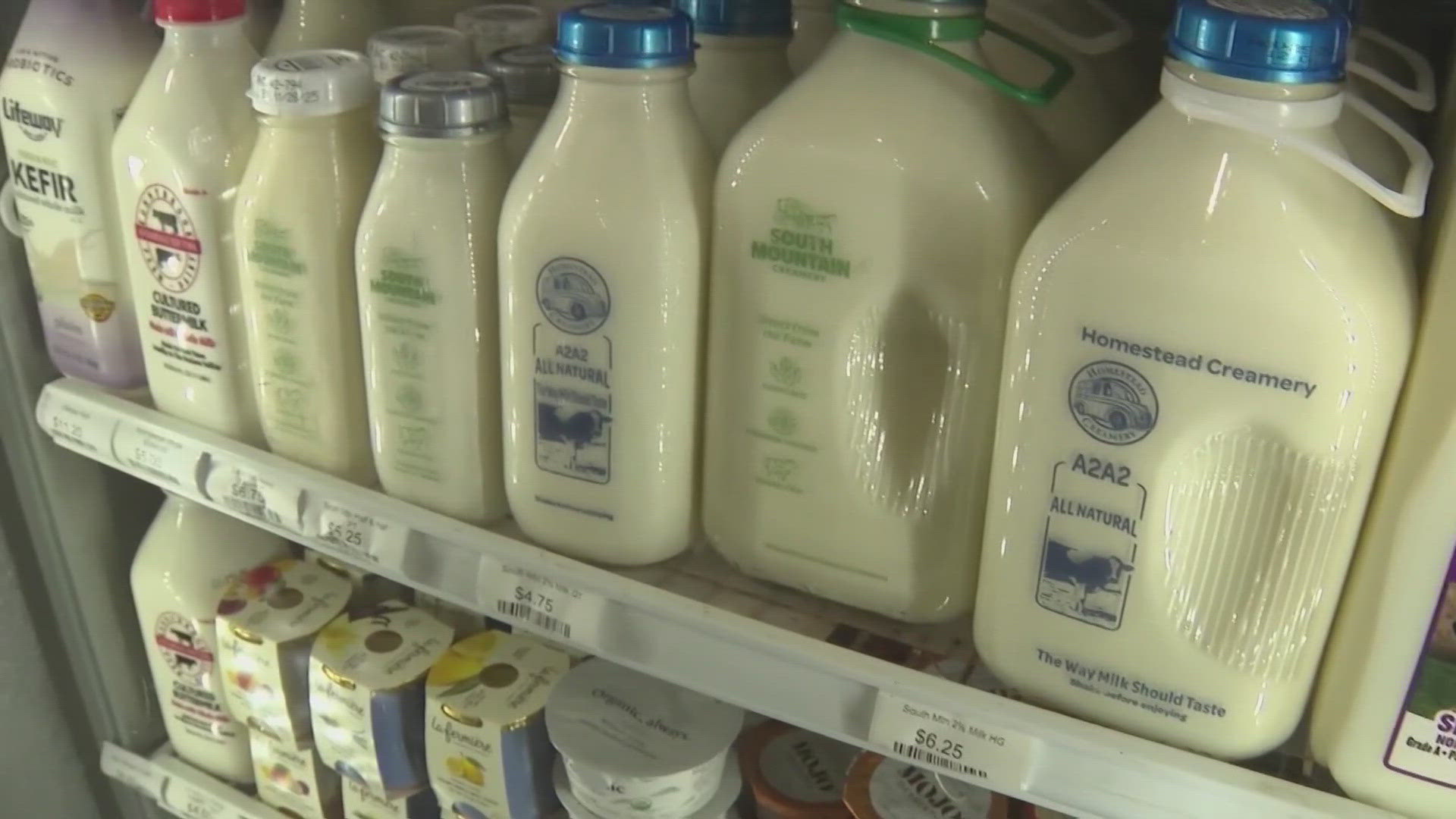 When are the Oscars this year? What to know. | wusa9.com