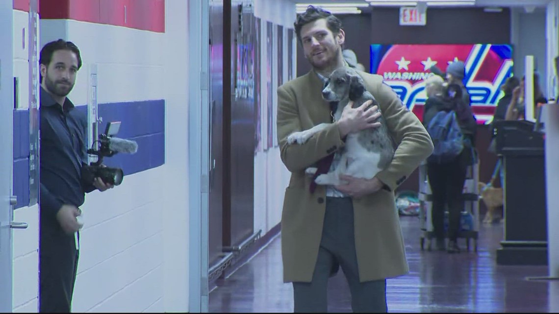 Washington Capitals host Caps Canine Night | wusa9.com