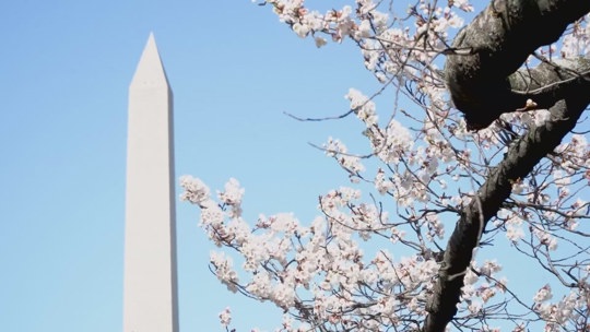 Washington DC News | wusa9.com