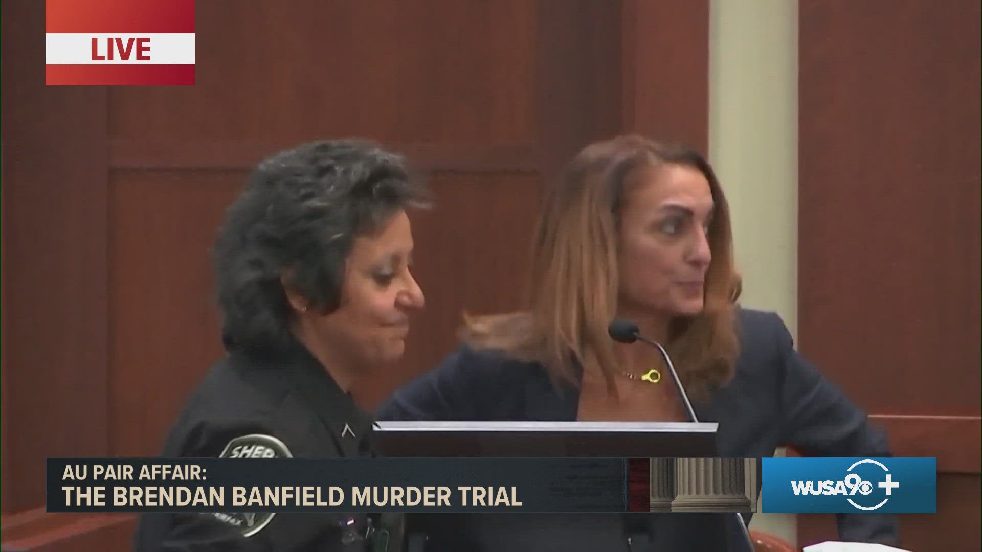 Brendan Banfield on Trial: Au Pair Affair Murder Case | DAY 7 TESTIMONY ...