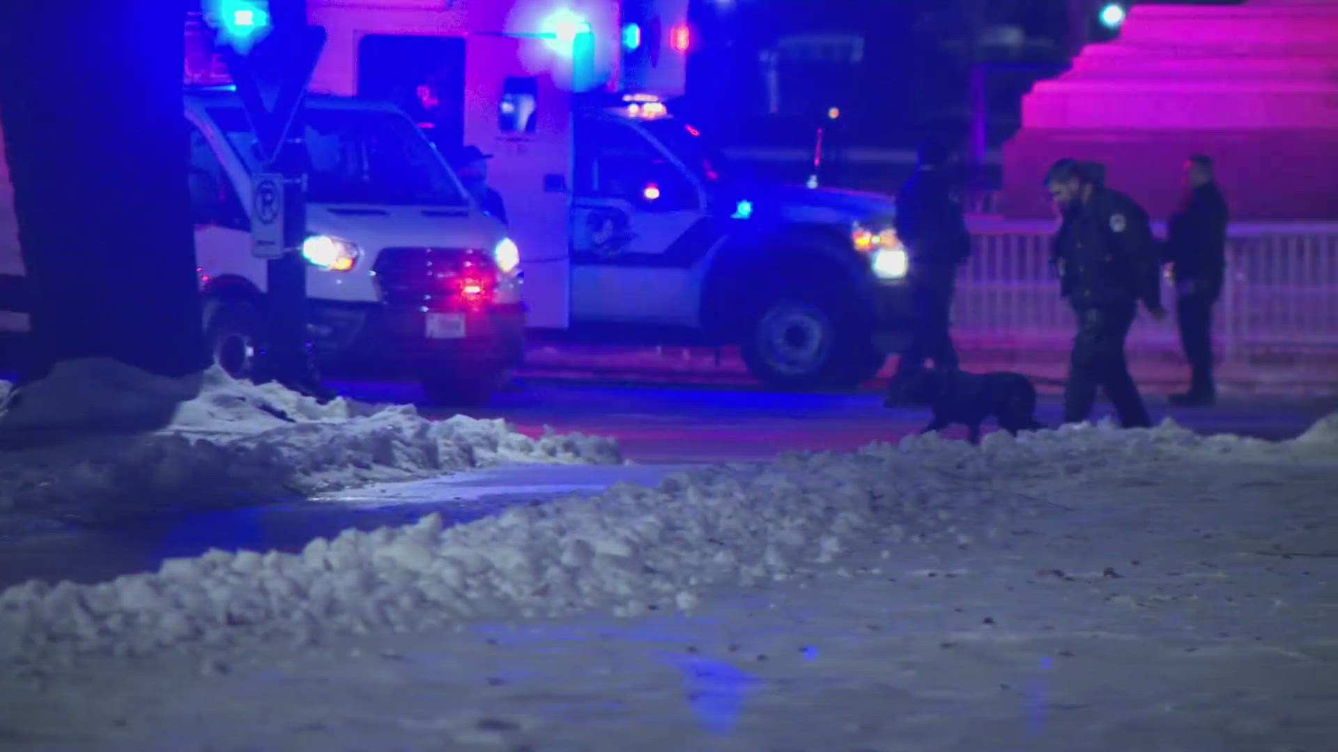 Man pleads guilty to lighting car on fire outside US Capitol | wusa9.com