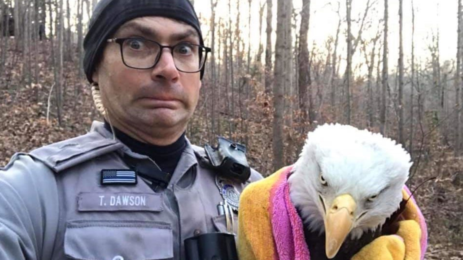 Fairfax County officer helps contain eagle | wusa9.com