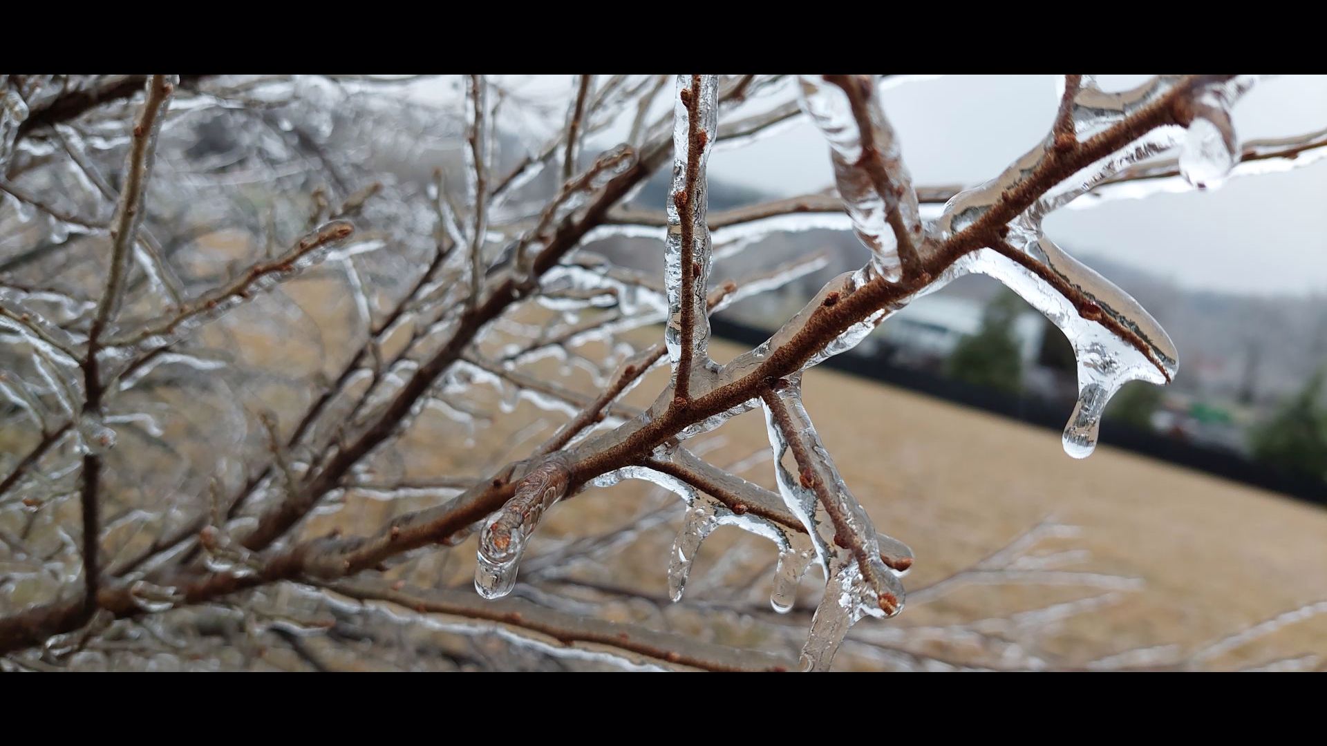 How much ice does it take to cause issues? | wusa9.com