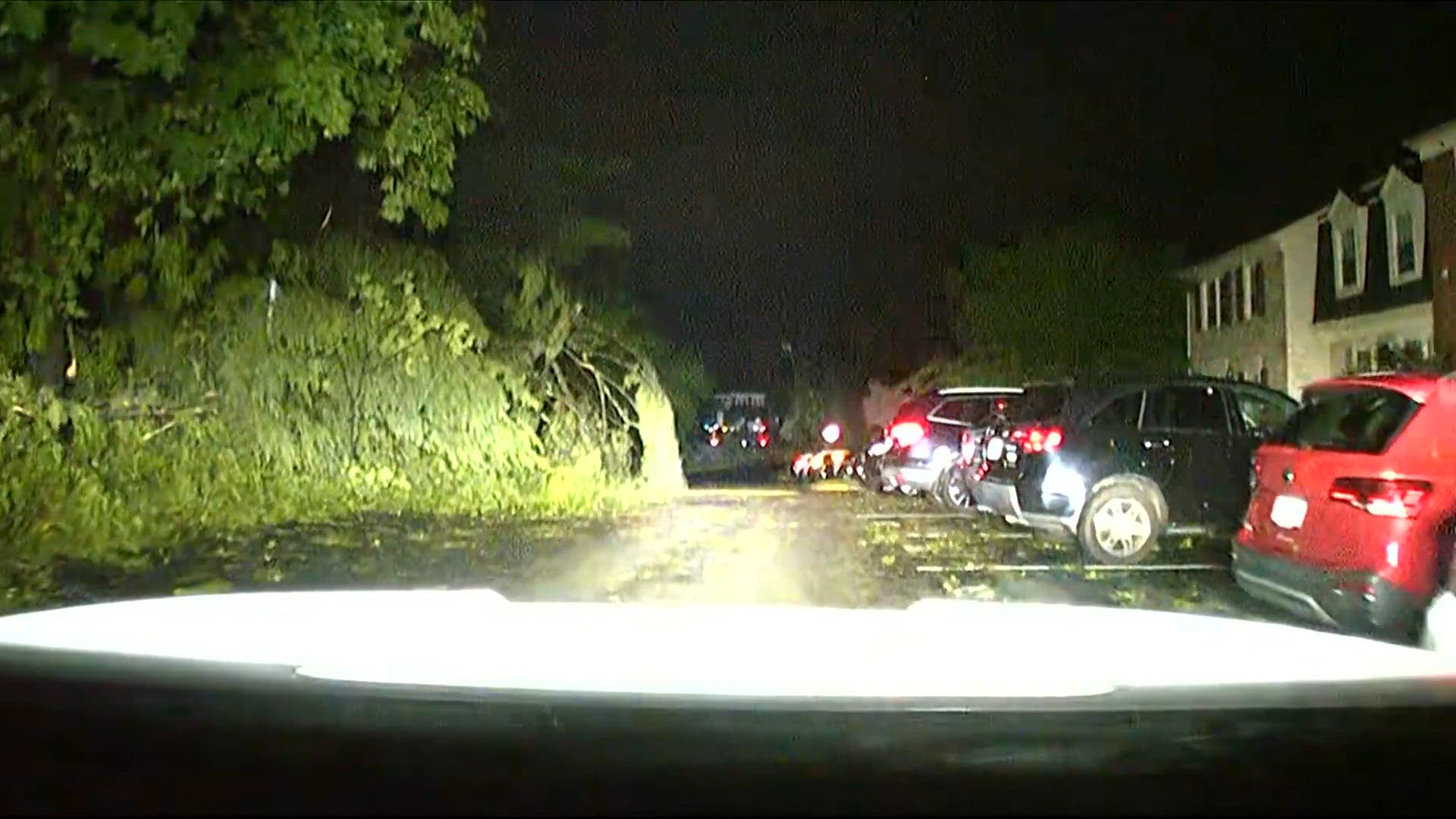 'The tree was down and we were trying to rescue the mailman' | Burke ...
