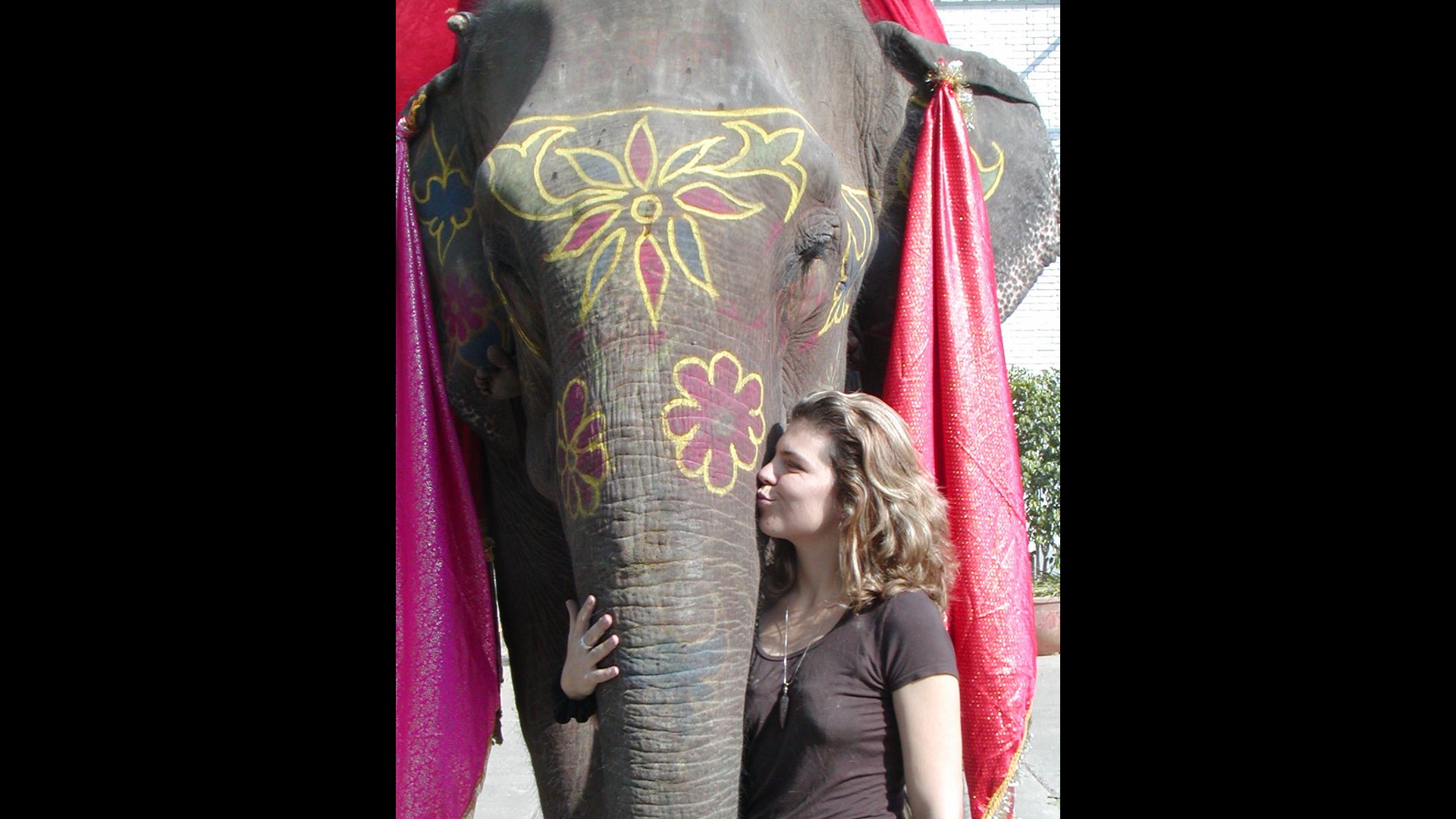 Stacy Gilbert's accomplishments | wusa9.com