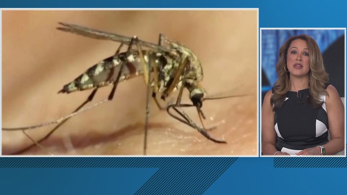 Hyattsville sprayed with mosquito insecticide after confirmed West Nile ...