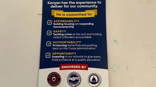 Realtors group apologizes after pro-McDuffie mailers falsely claim ...