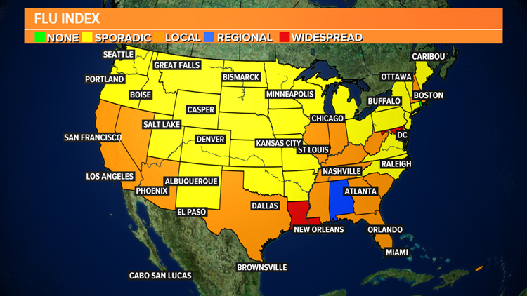 Experts predict an active and possibly severe flu season | wusa9.com