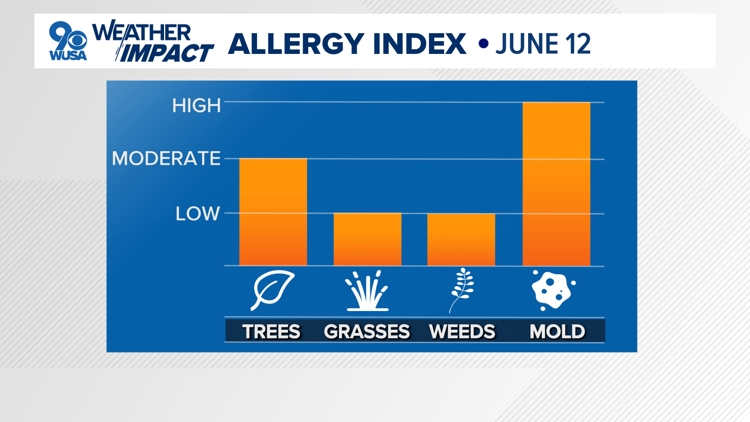 DC Forecast | Sun filled skies Saturday, storms return Sunday | wusa9.com