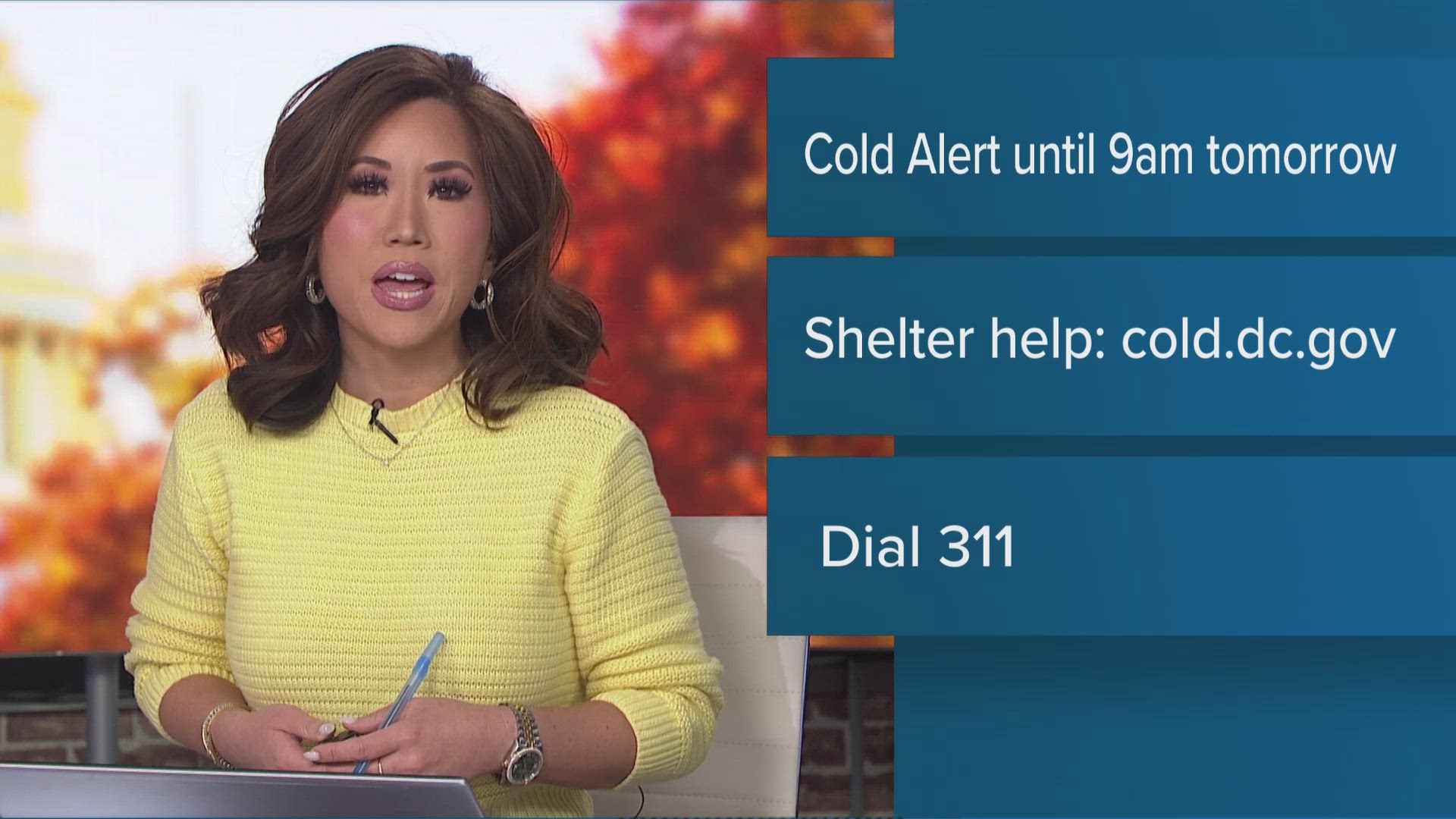 Democrat Ghazala Hashmi elected Virginia lieutenant governor, AP projects | wusa9.com