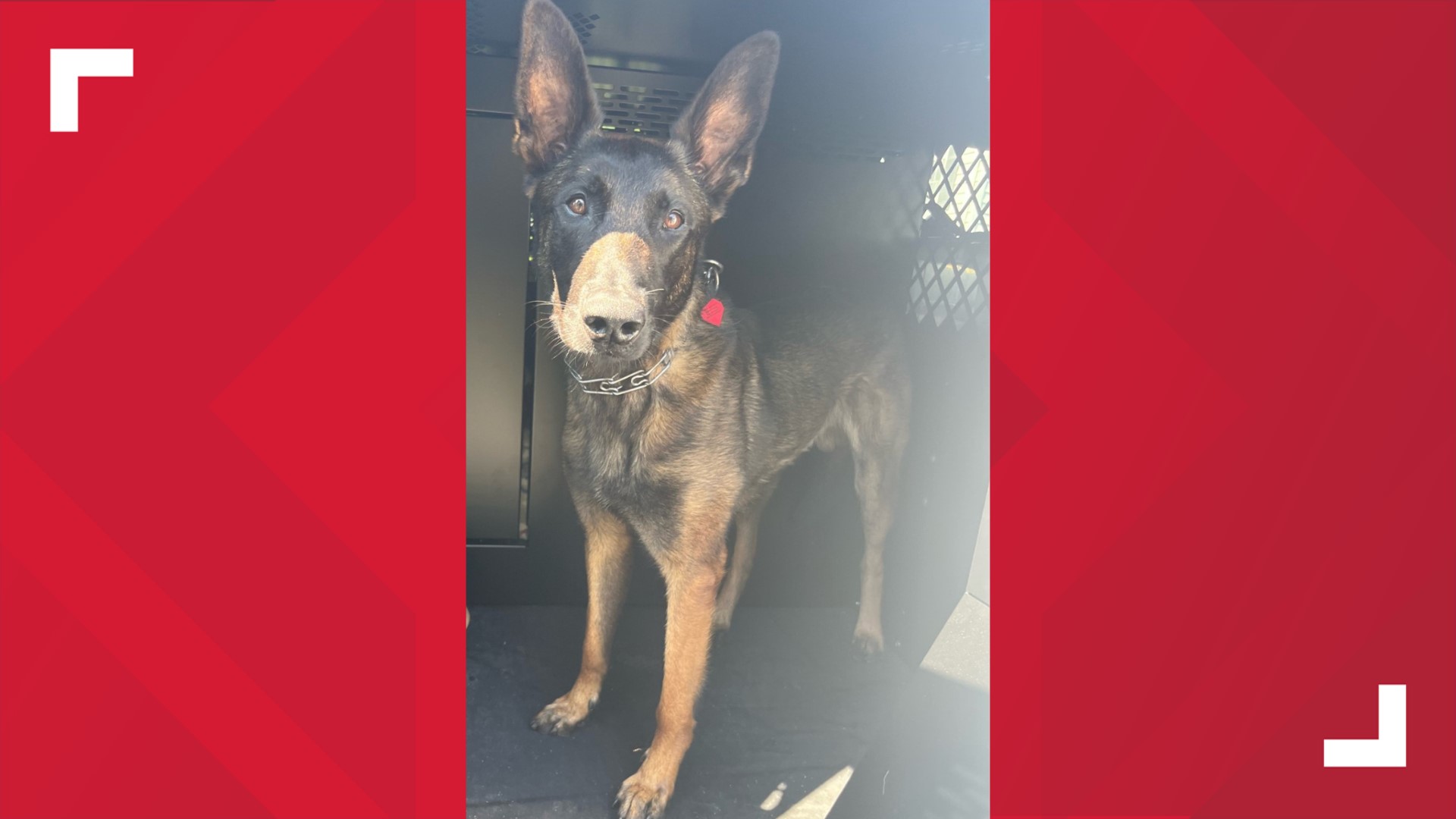 Missing Montgomery Co. K9 officer found safe | wusa9.com