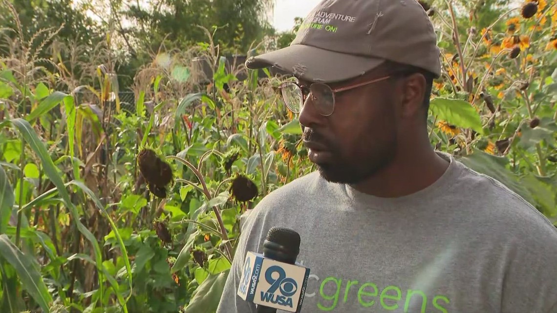 Healthy living in DC | ECO9 | wusa9.com