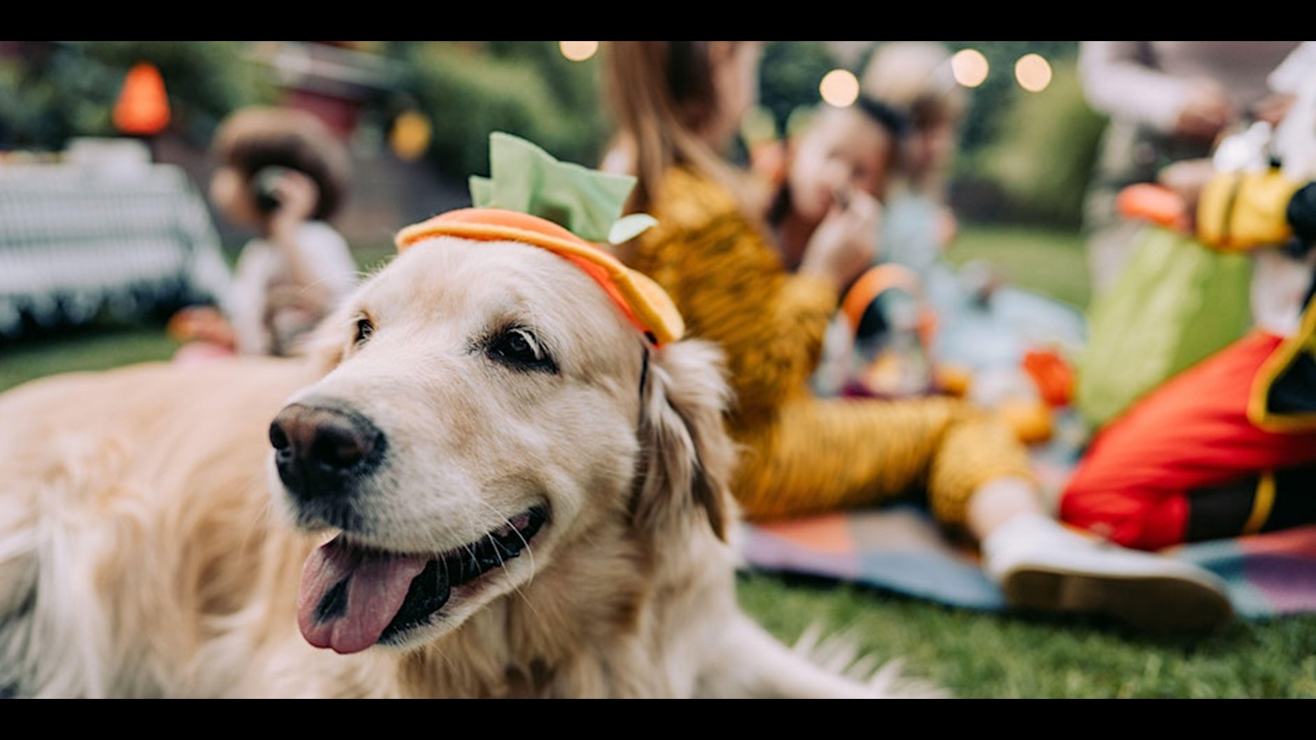 Here's what to do this Halloween in Washington, DC | wusa9.com