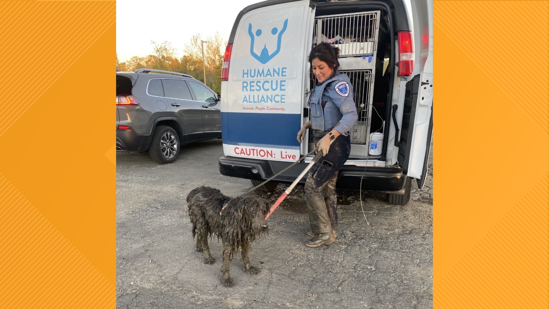 DC animal control officers rescue dog from mud | wusa9.com